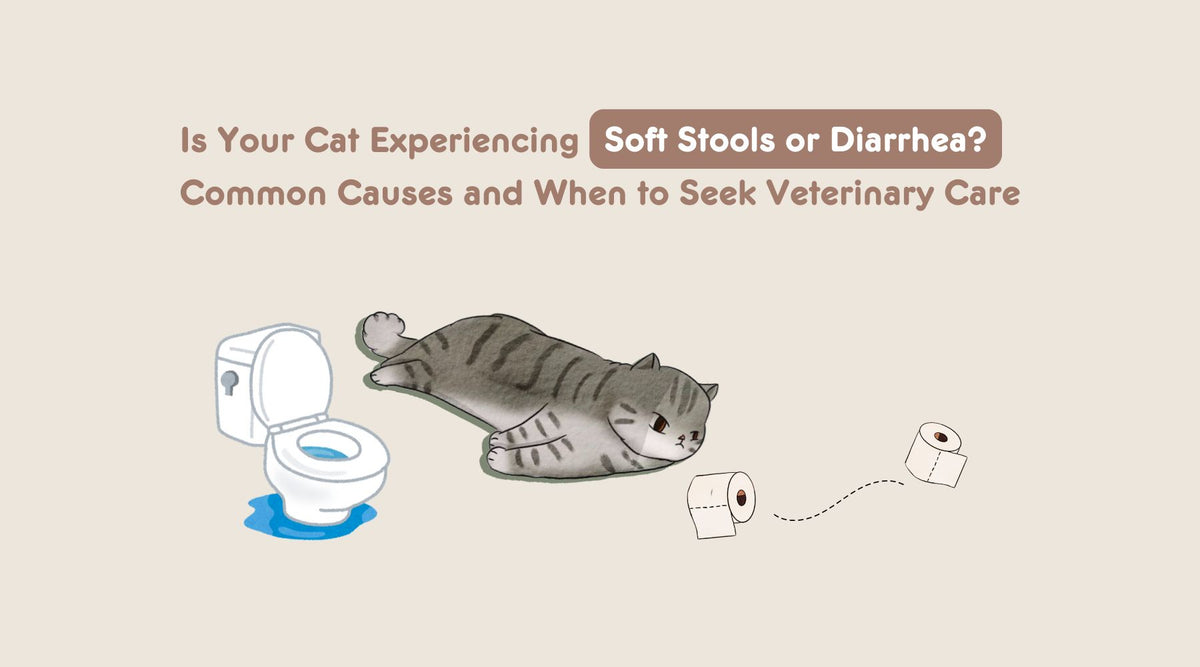 Is Your Cat Experiencing Soft Stools or Diarrhea? Common Causes and Wh ...