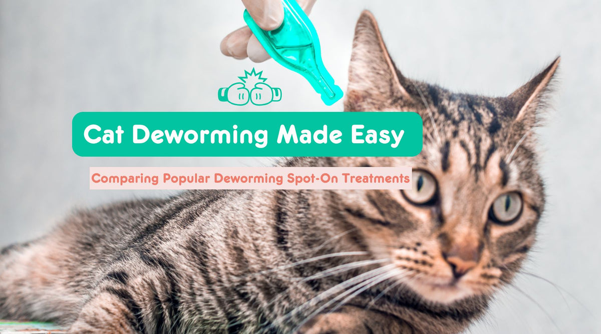 Cat Deworming Made Easy: Comparing Popular Deworming Spot-On Treatment ...