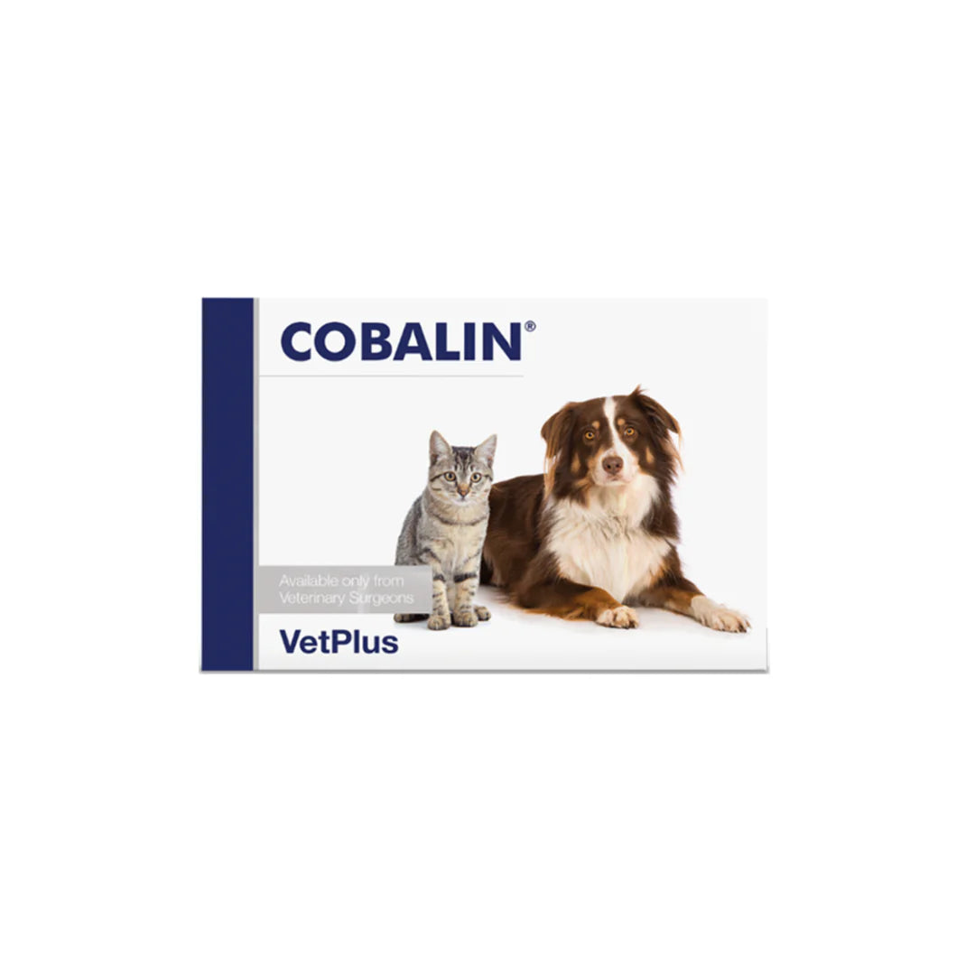 VetPlus COBALIN ® Vitamin Supplement for Dogs and Cats (60 Capsules ...