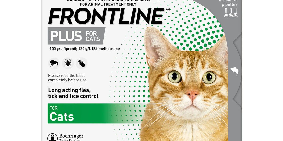 Frontline Plus - Fleas and Ticks Prevention for Cats — Petston: Online ...